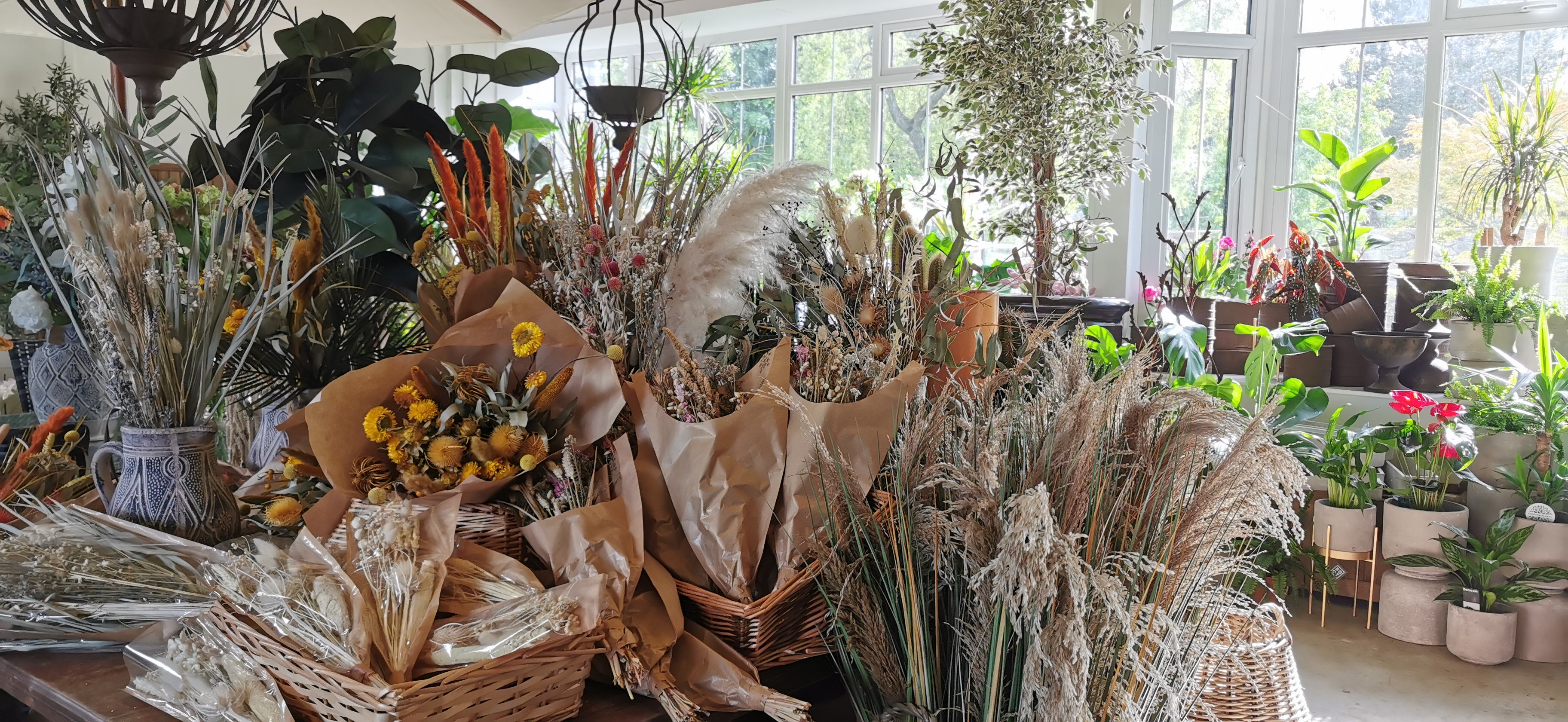 Dried Flowers | The Aviary Floral